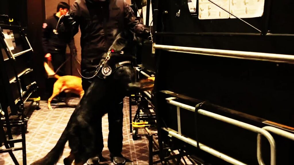 K9 Explosives Detection – BULLET-K